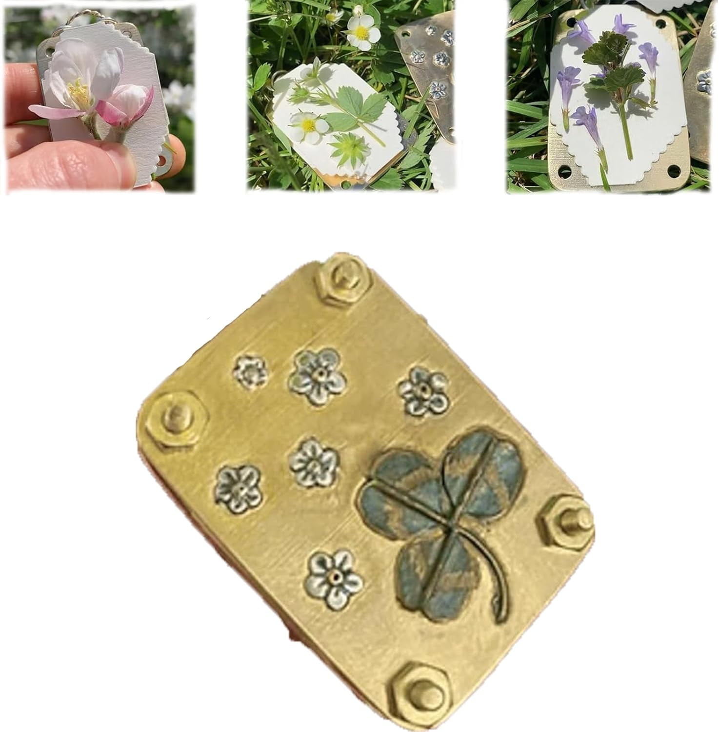 Micro Flower Press, Metal Flower Pressing Plant Preservation Kit ...