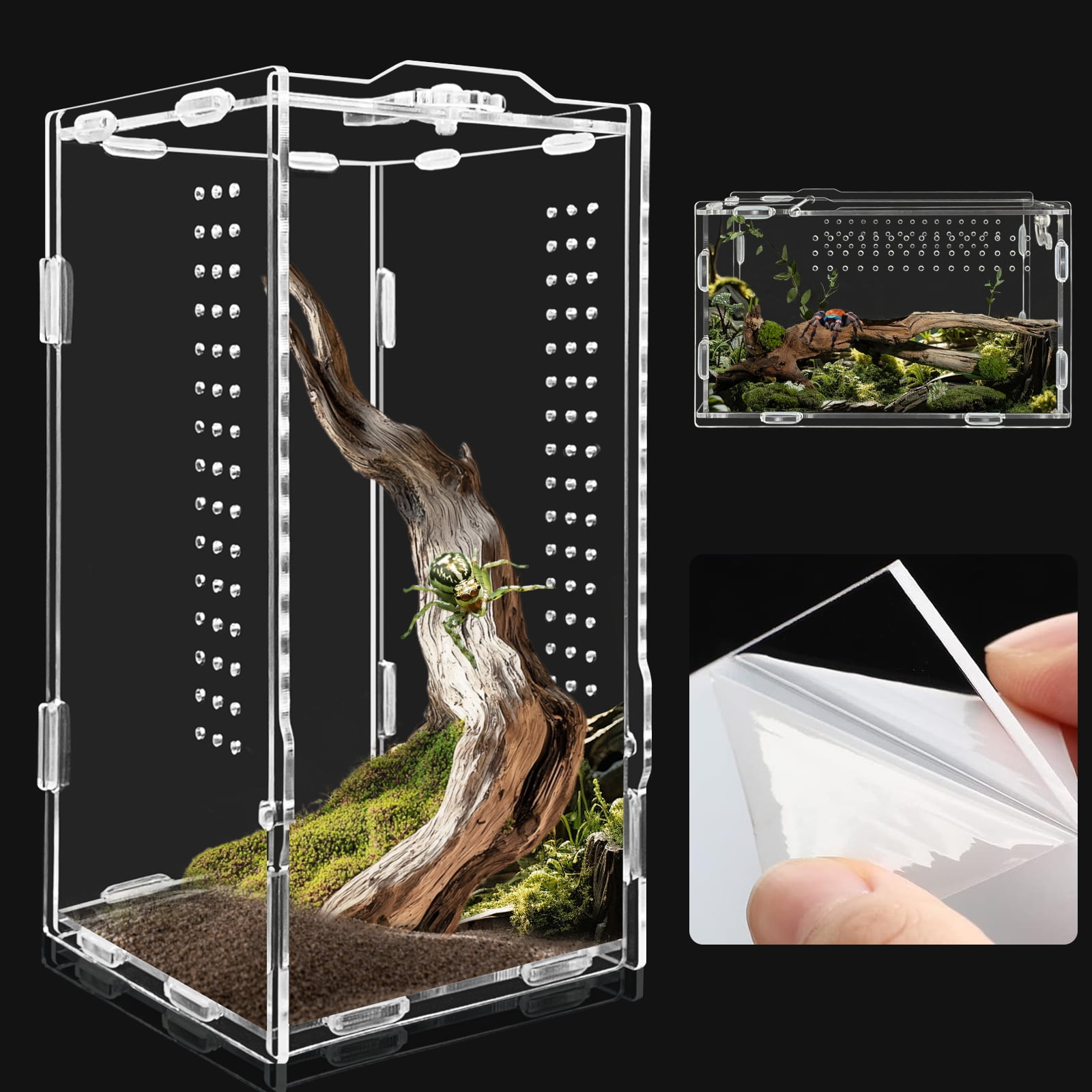 Micro Habitat Acrylic Enclosure Kit – Small Jumping Spider & Tarantula ...