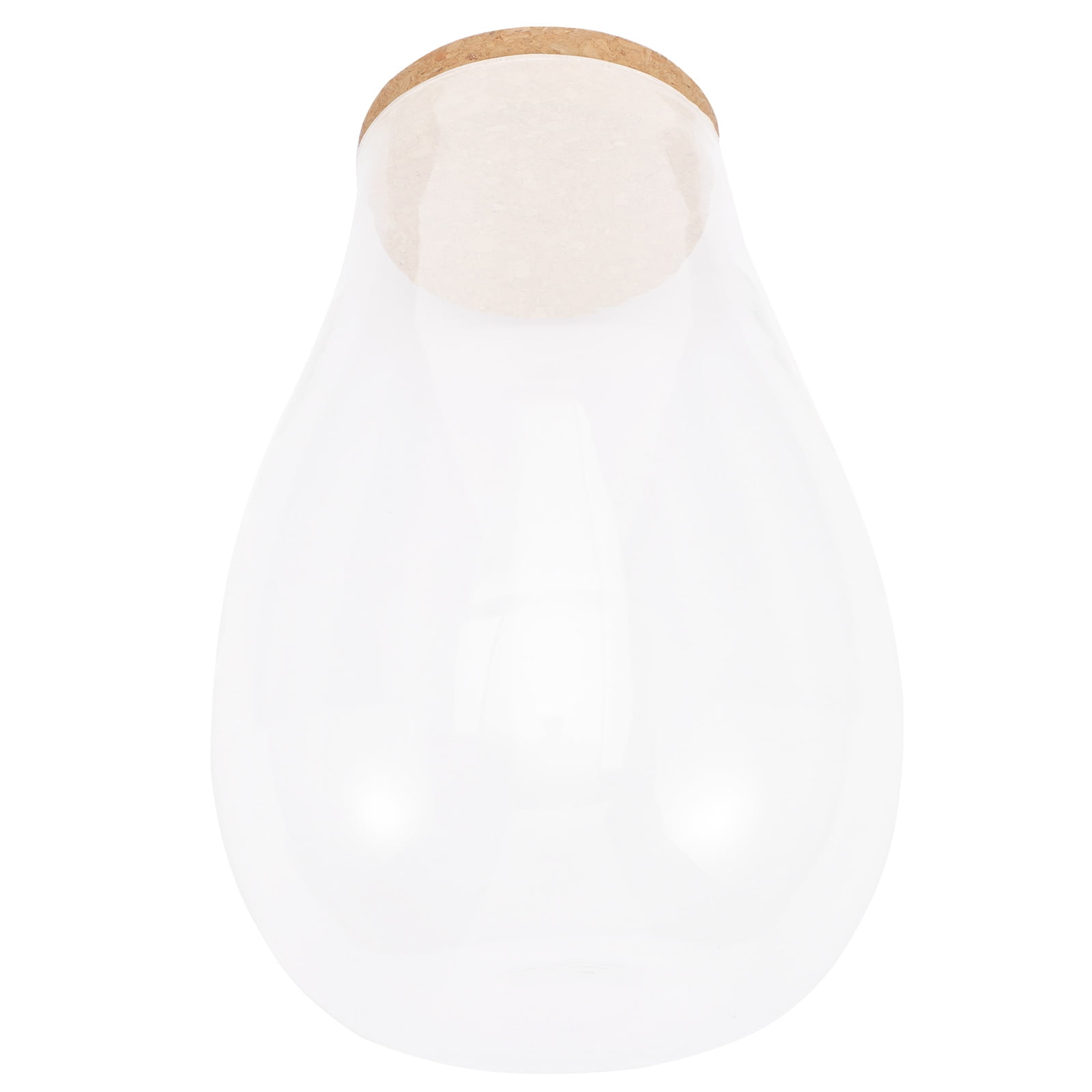 Micro Landscape Ecological Bottle Round Waterbottle Terrarium Jar Clear ...