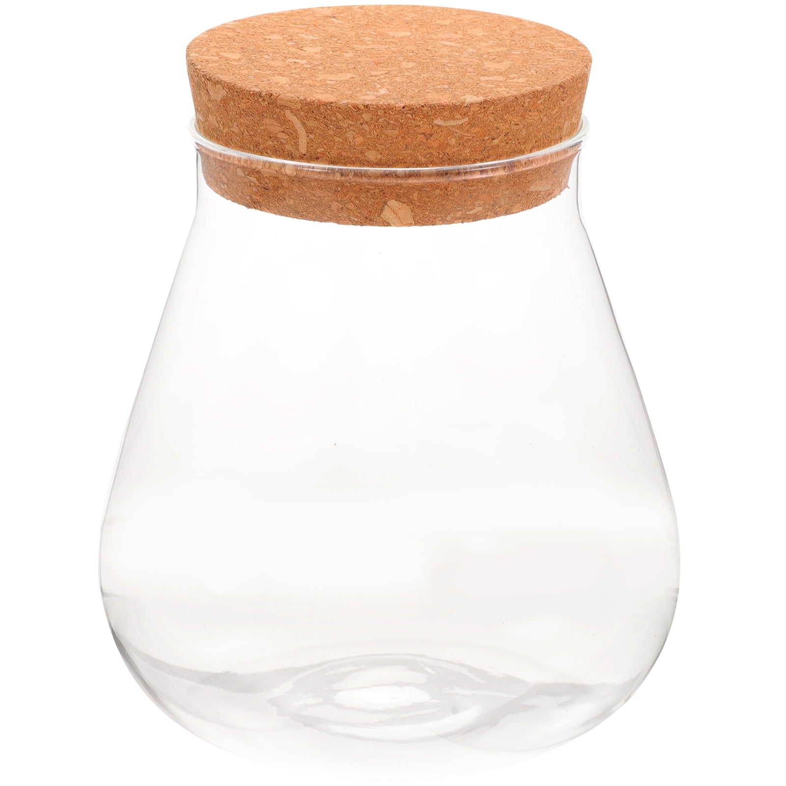 Micro Landscape Ecological with Cork Small Glass Jar Mini Vase Carafe ...