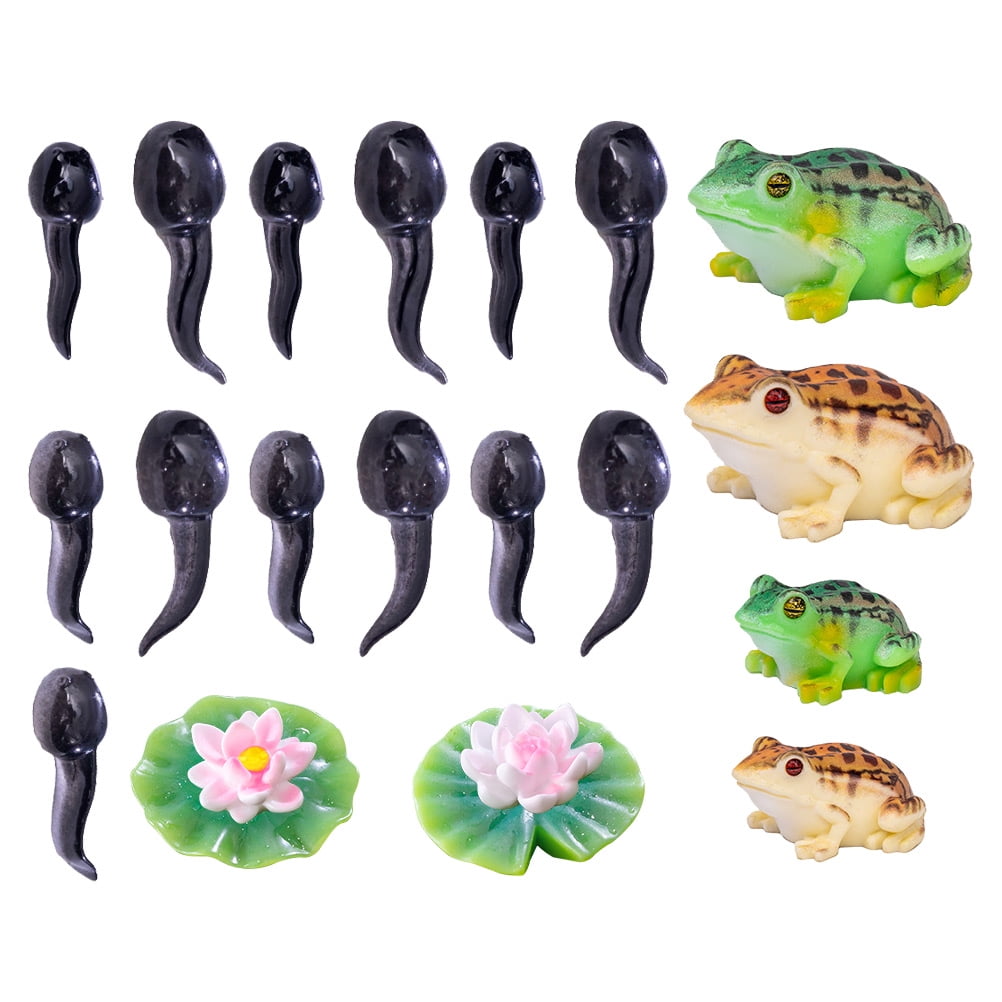 Micro Landscape Frog Tadpoles Mini Frogs Mini Animals Miniature Frogs ...