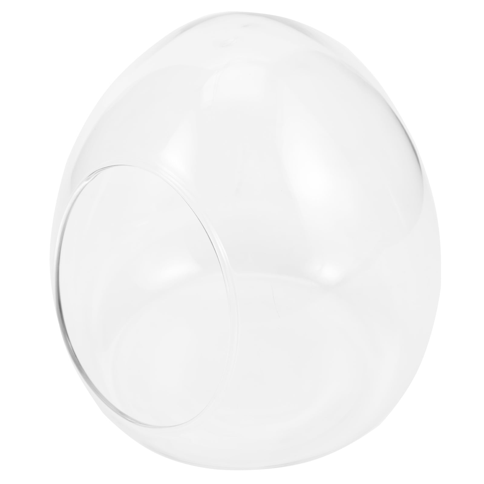 Micro Landscape Glass Bottle Indoor Plants Vase Pots for Moss ...