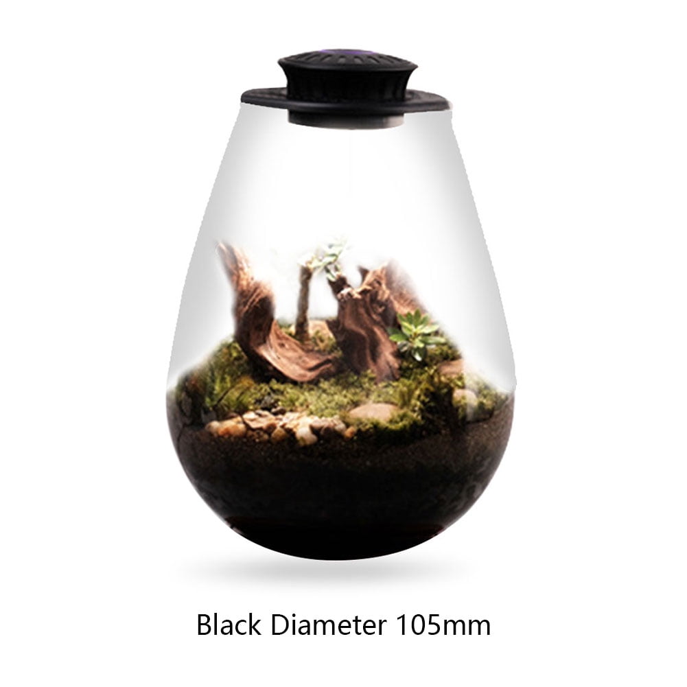 Micro Landscape Glass Bottle with Grow Light Succulent Moss Landscape ...
