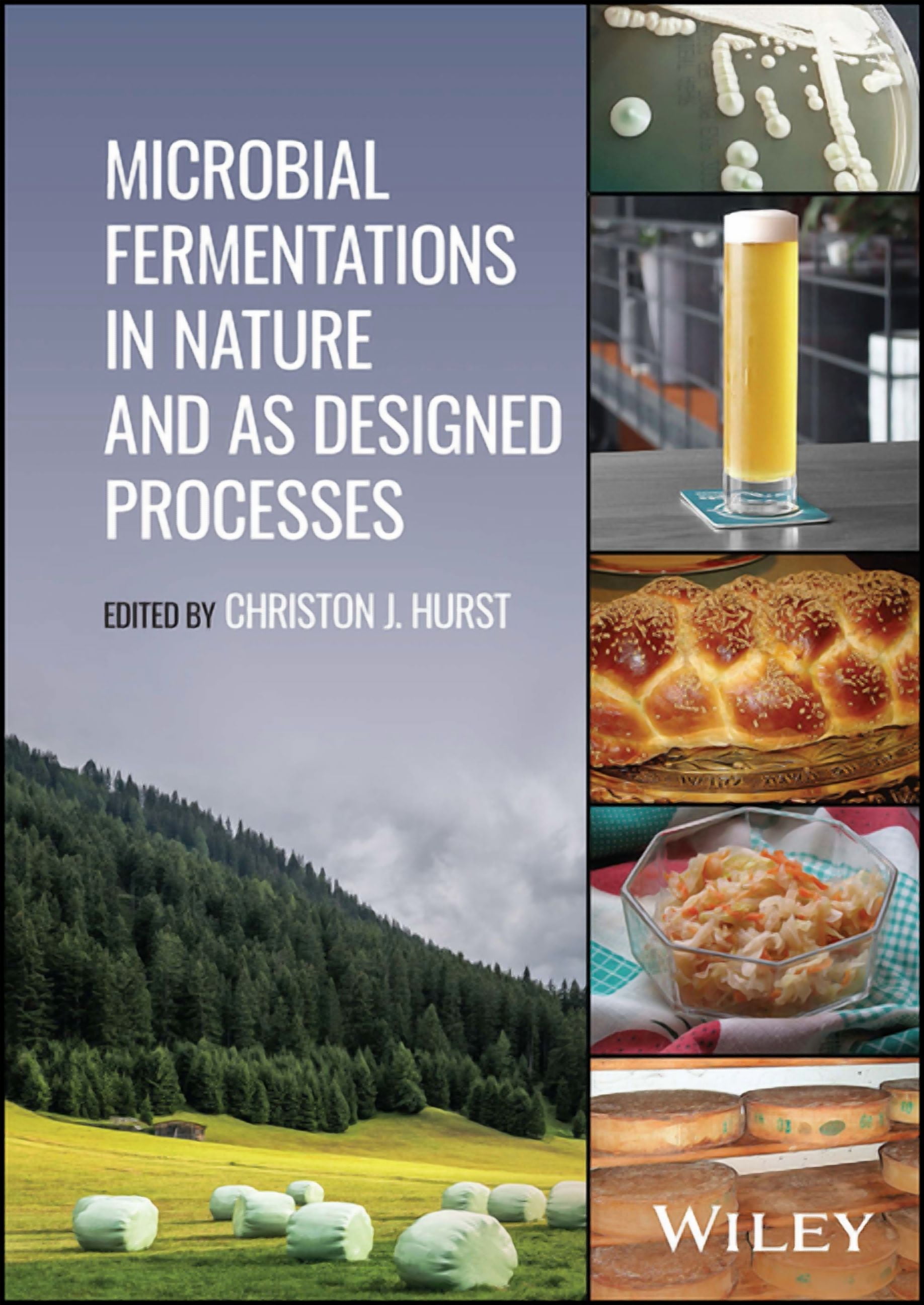 Microbial Fermentations in Nature and as Designed Processes, (Hardcover ...