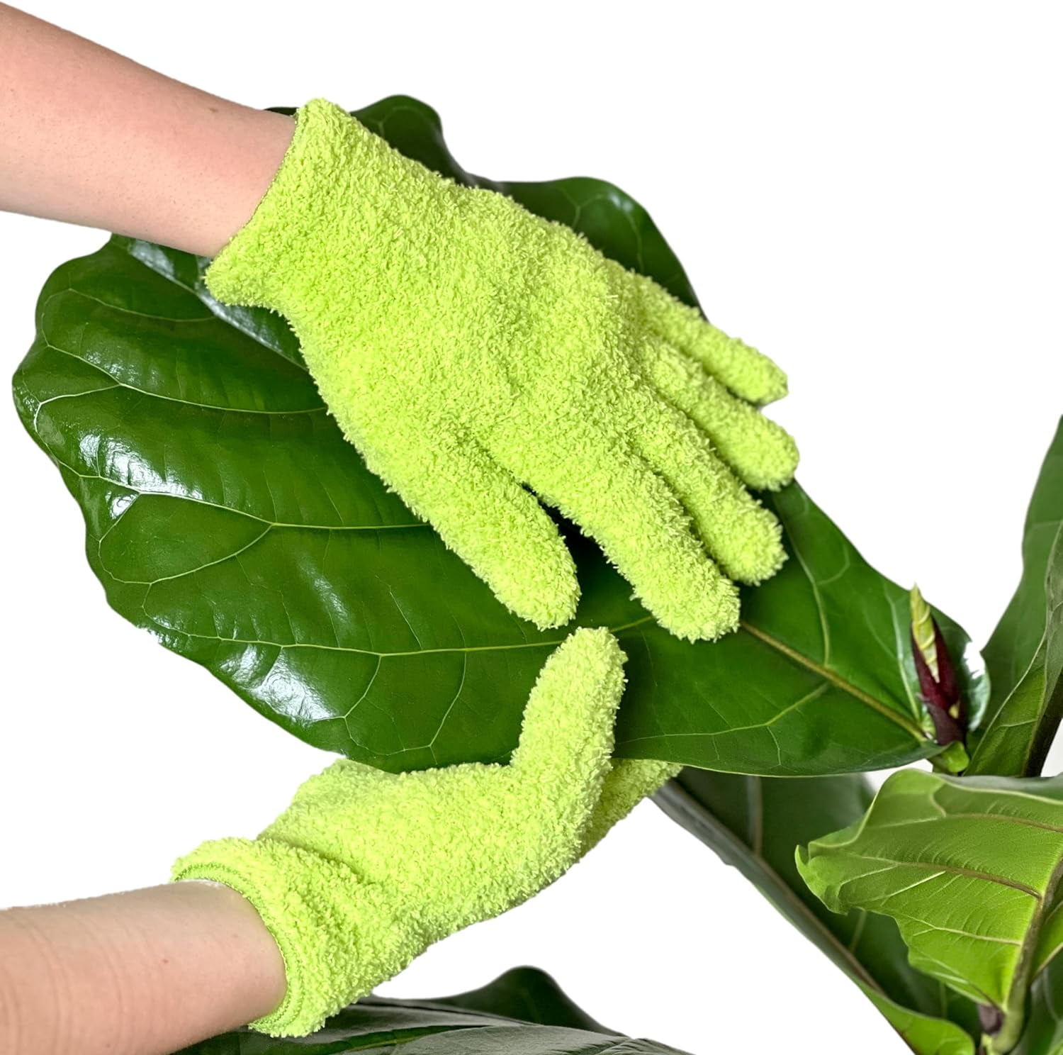Microfiber Dusting Gloves for Plants : Premium, Gentle, Traps Dust ...