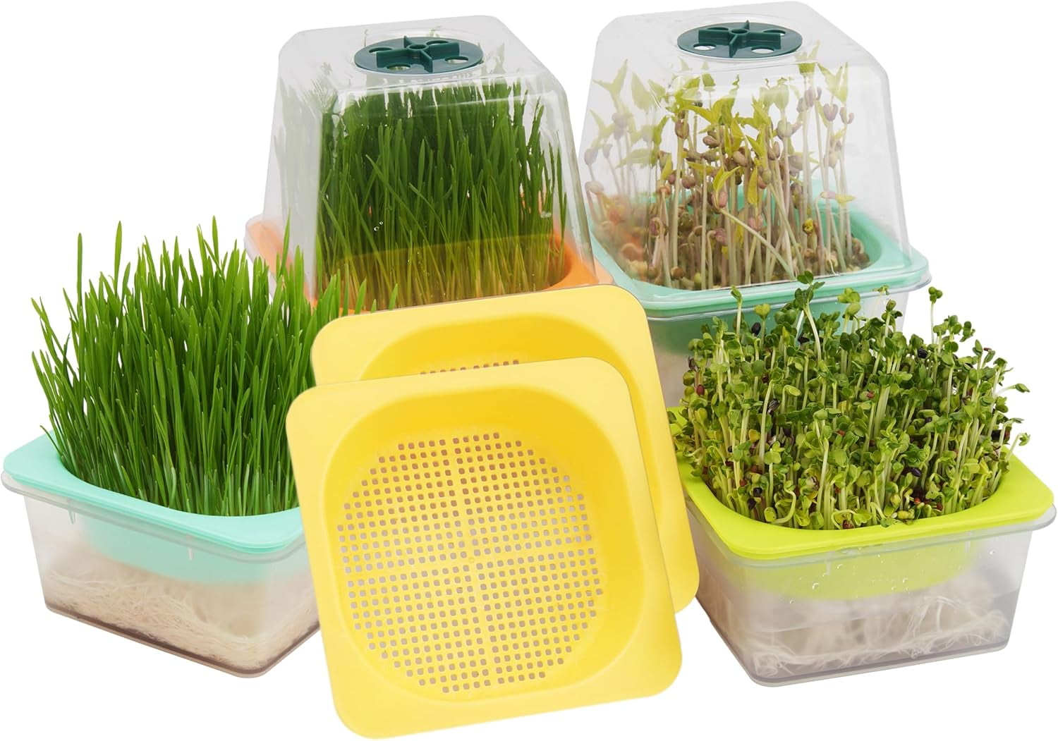 Microgreen Growing Trays, LUVCSOY Sprouting Tray with Humidity Dome ...