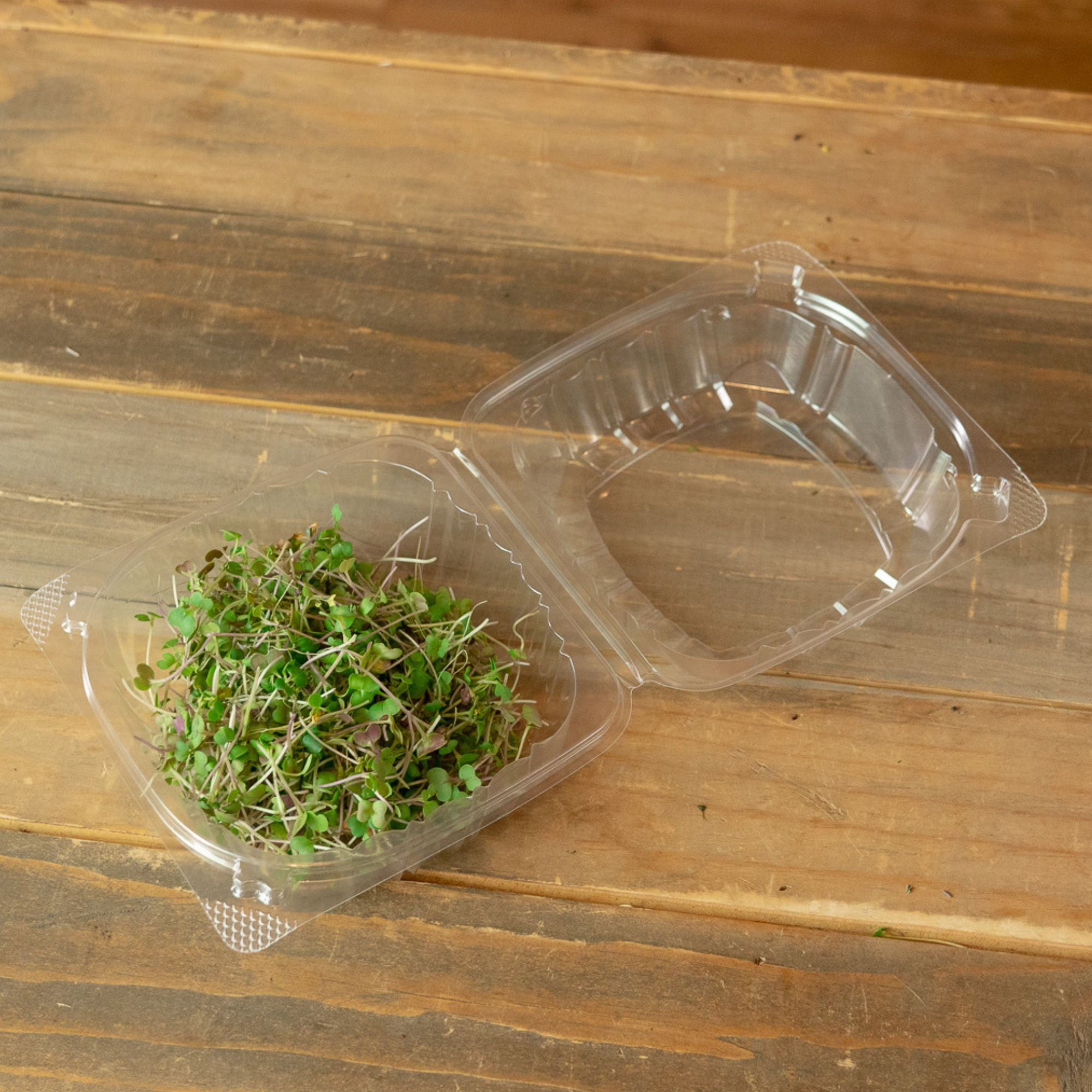Microgreens Containers Large - 10 Count – BPA-Free Plastic Clamshells ...