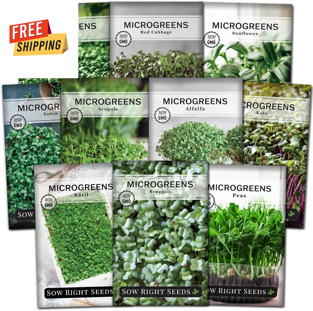 Microgreens Seed Sample Pack - 10 Packets for Indoor Growing - Broccoli ...