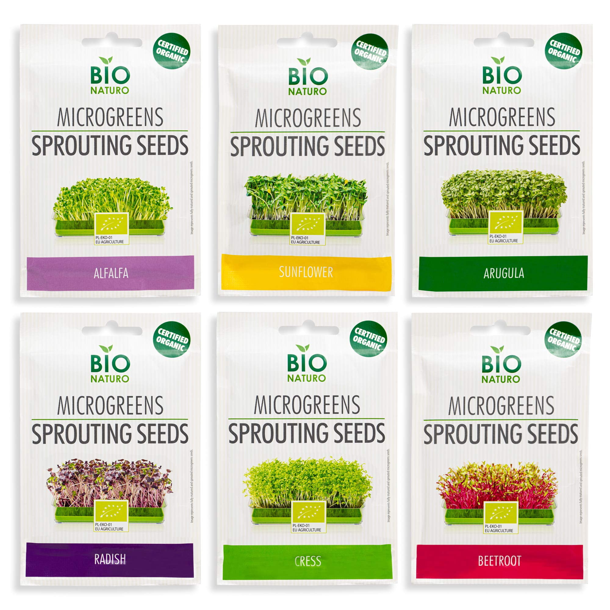 Microgreens Seeds Kit Organic NonGMO Heirloom - Seeds | 6-Pack (150g ...