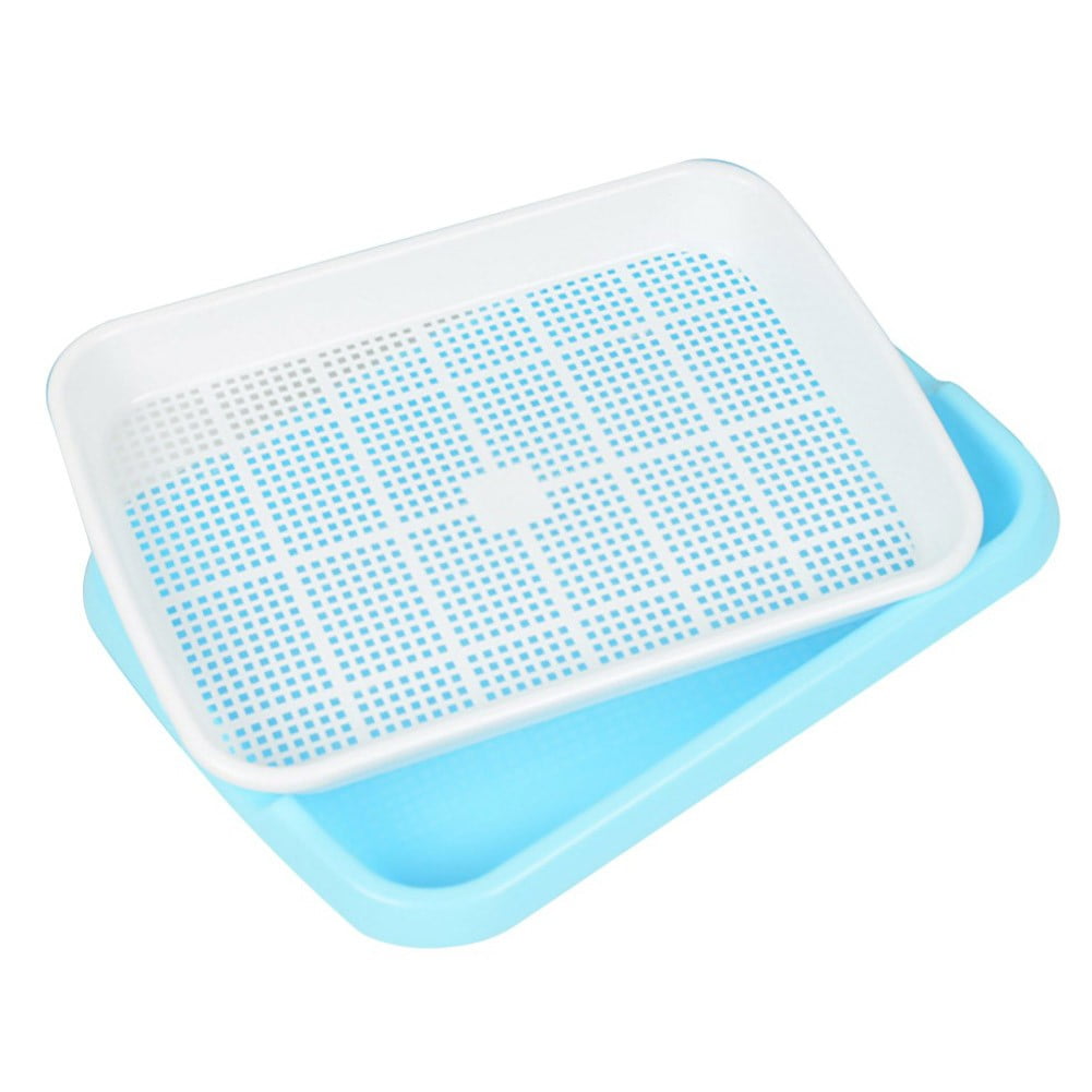 Microgreens Tray Hydroponic / sprouting Tray for Sprouts - Walmart.com