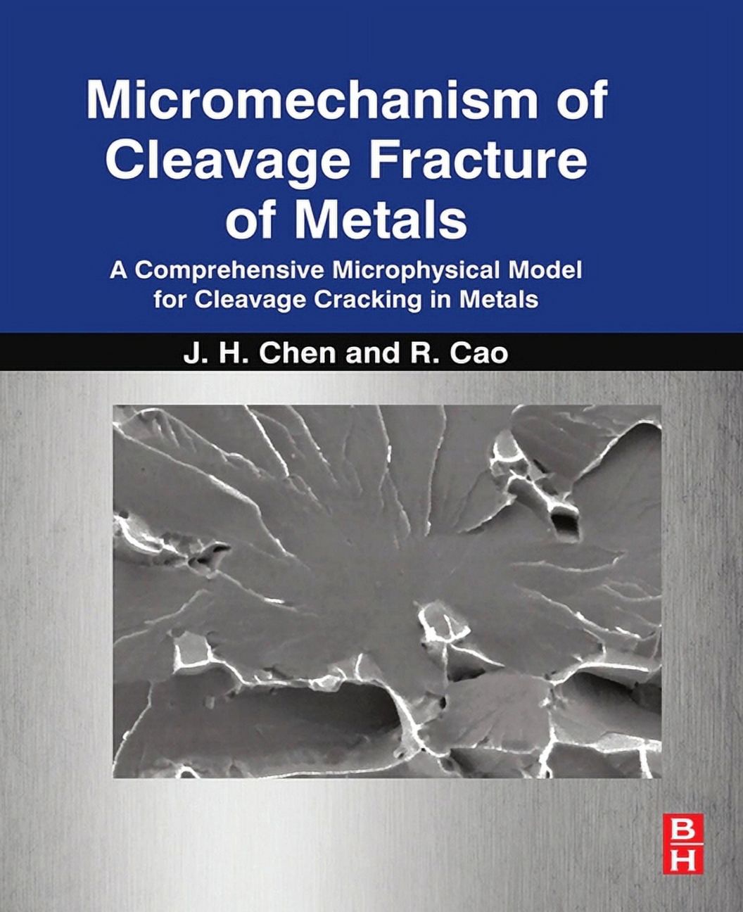 Micromechanism of Cleavage Fracture of Metals: A Comprehensive ...