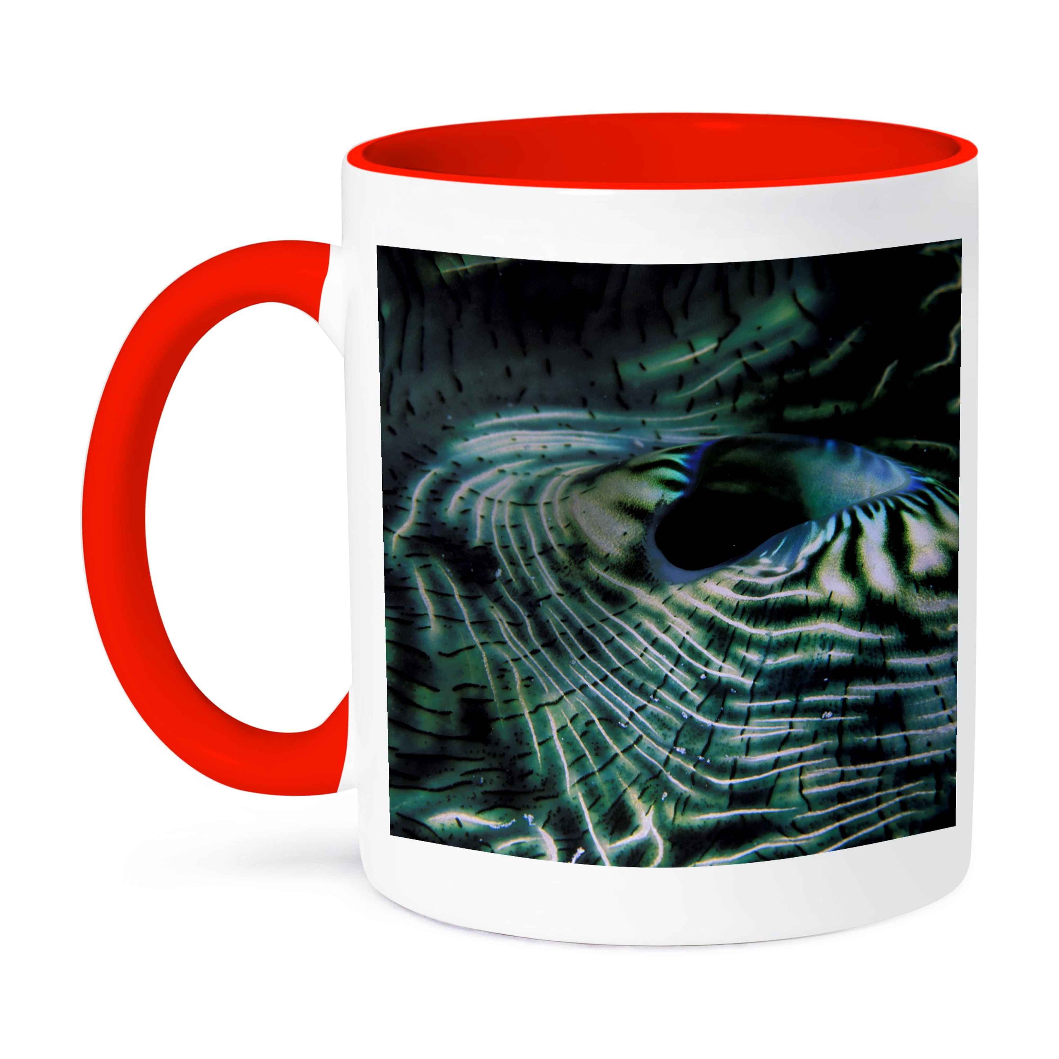 Micronesia, Giant Clam Mantle Marine Life - Na02 Sws0070 - Stuart ...