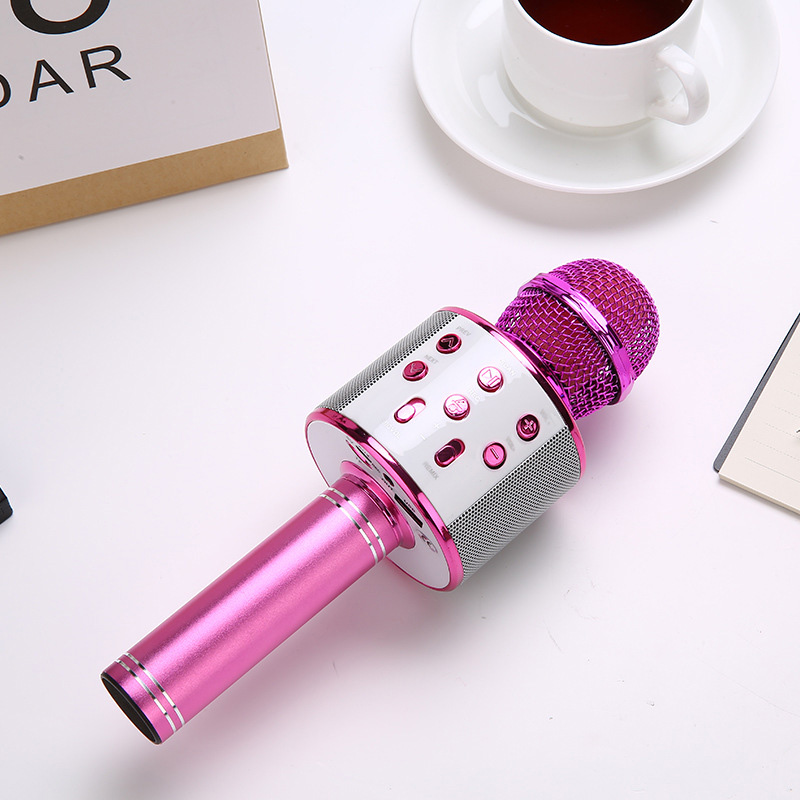 Microphone for Kids Singing 5 in 1 Wireless Bluetooth Microphone with ...