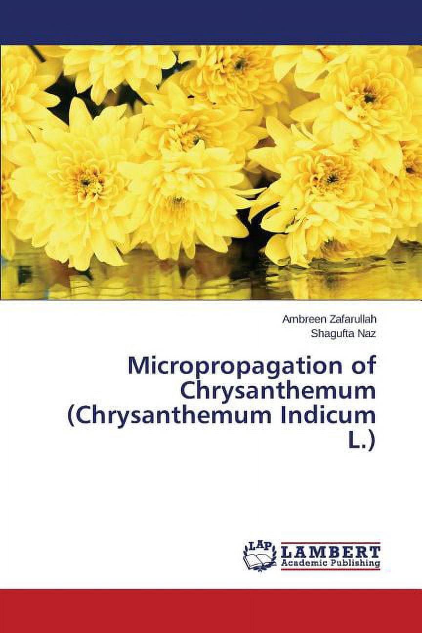 Micropropagation of Chrysanthemum (Chrysanthemum Indicum L.) (Paperback ...