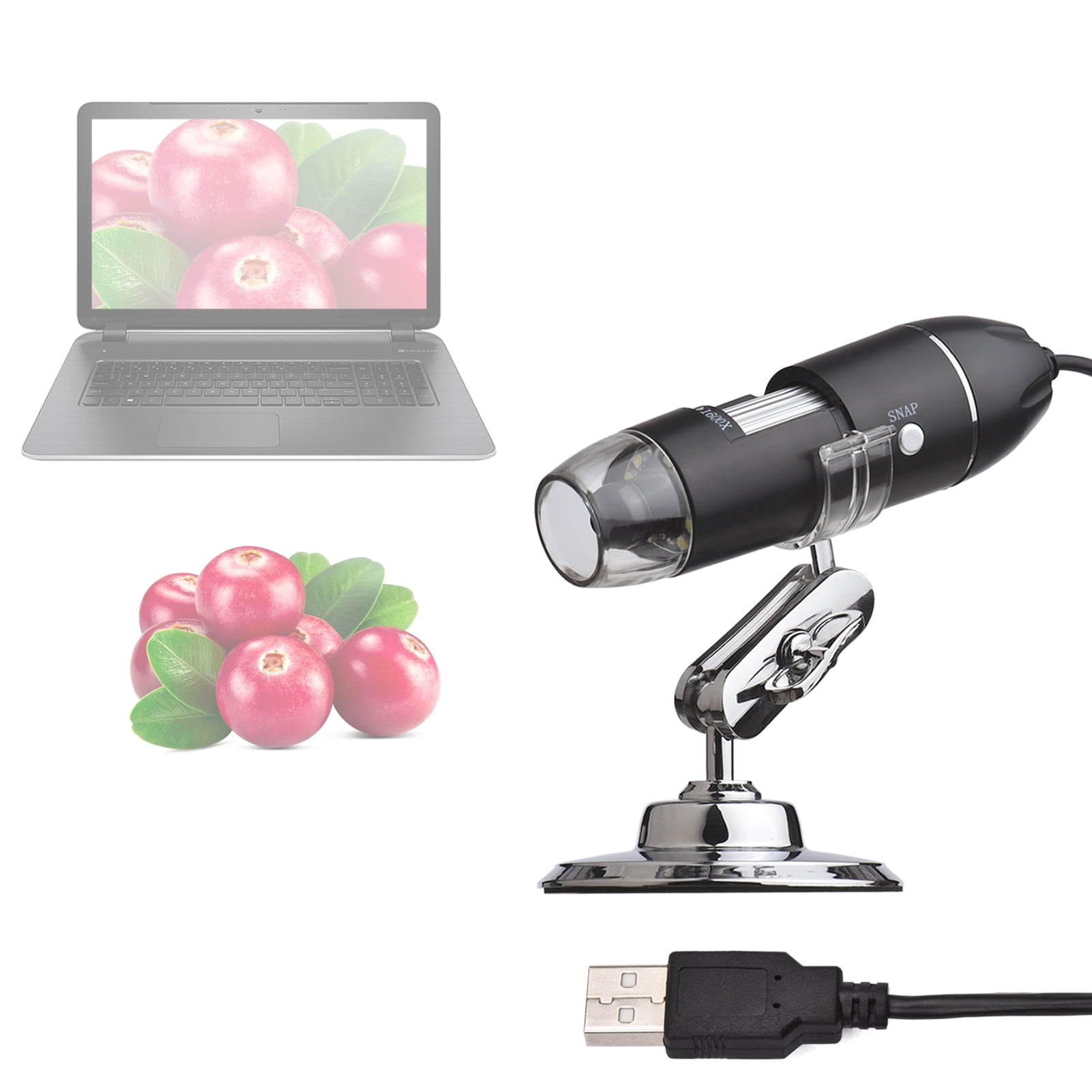 Microscope,Handheld Laptop Plant 1600x Usb Portable Plant Observation ...