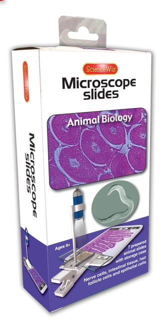 Microscope Slide Sets: Microscope Slides: Animal Biology Slides (Set of ...