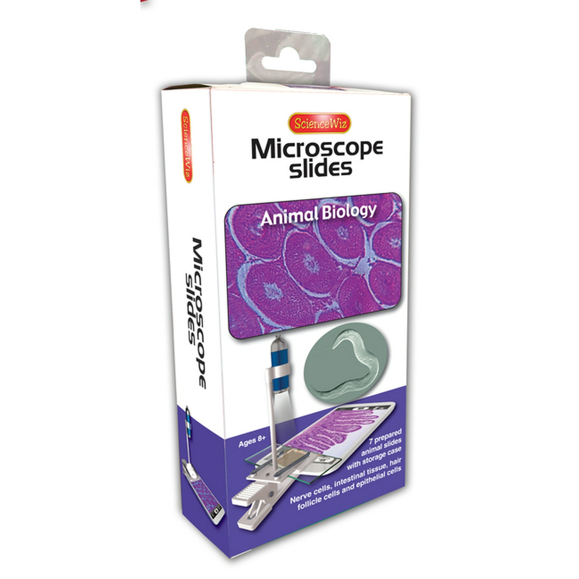 Microscope Slides Of Cells