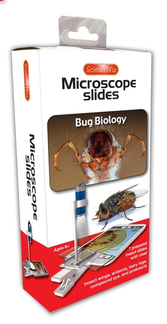 Microscope Slide Sets: Microscope Slides: Bug Biology Slides (Set of 7 ...