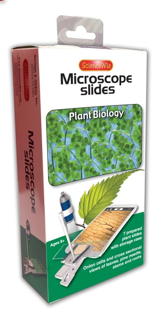 Microscope Slides: Plant Biology Slides (Set of 7) (General merchandise ...