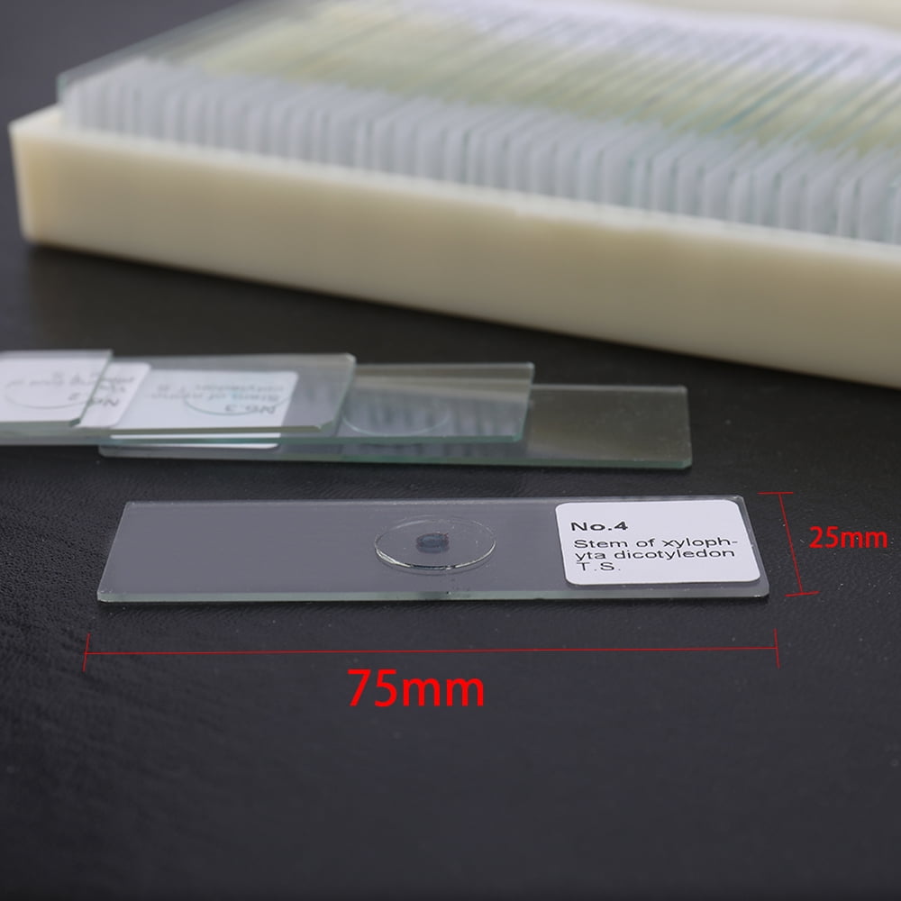 Microscope Slides,Slides Science Slips Portable Science Cover Science ...