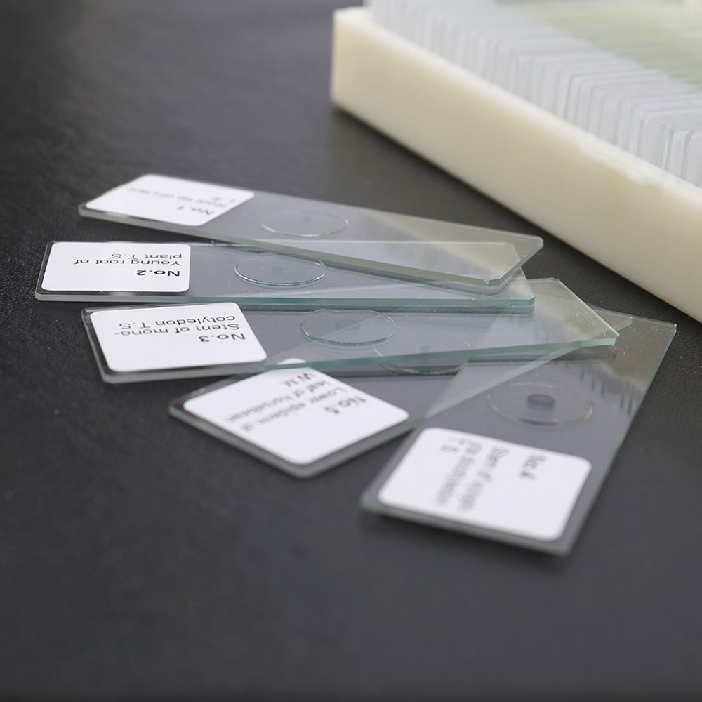 Microscope Slides,Tissues Science Animal Tissues / Ensemble Science ...
