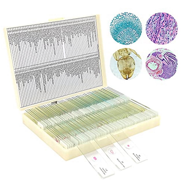 Microscope Slides with Specimens From Children, Microscope Slides for ...