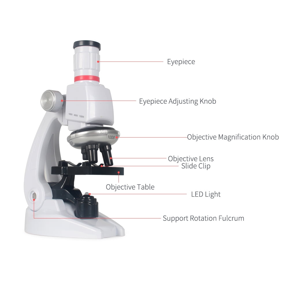 Microscope,Stem Science Educational Kids Microscope With Led 6 100x ...