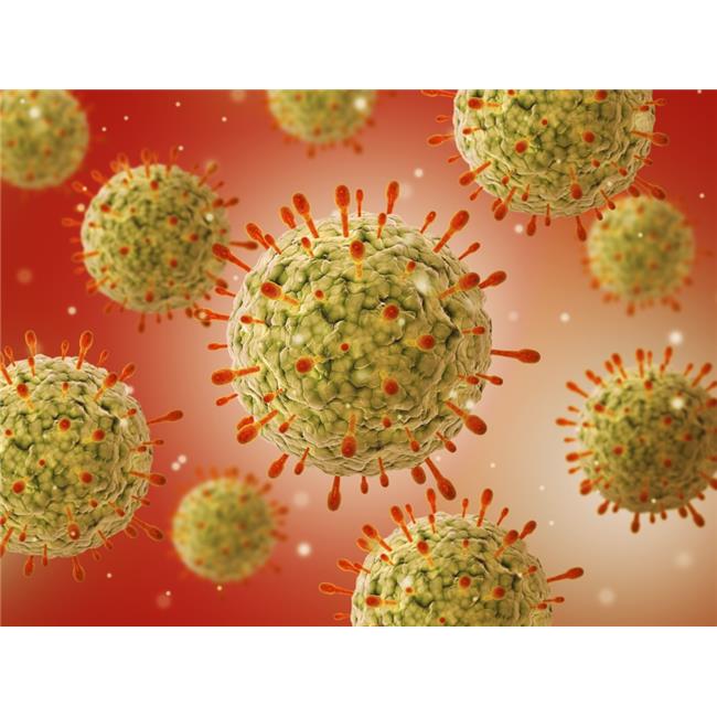 Microscopic View of Herpes Virus Poster Print - 32 x 24 - Large ...