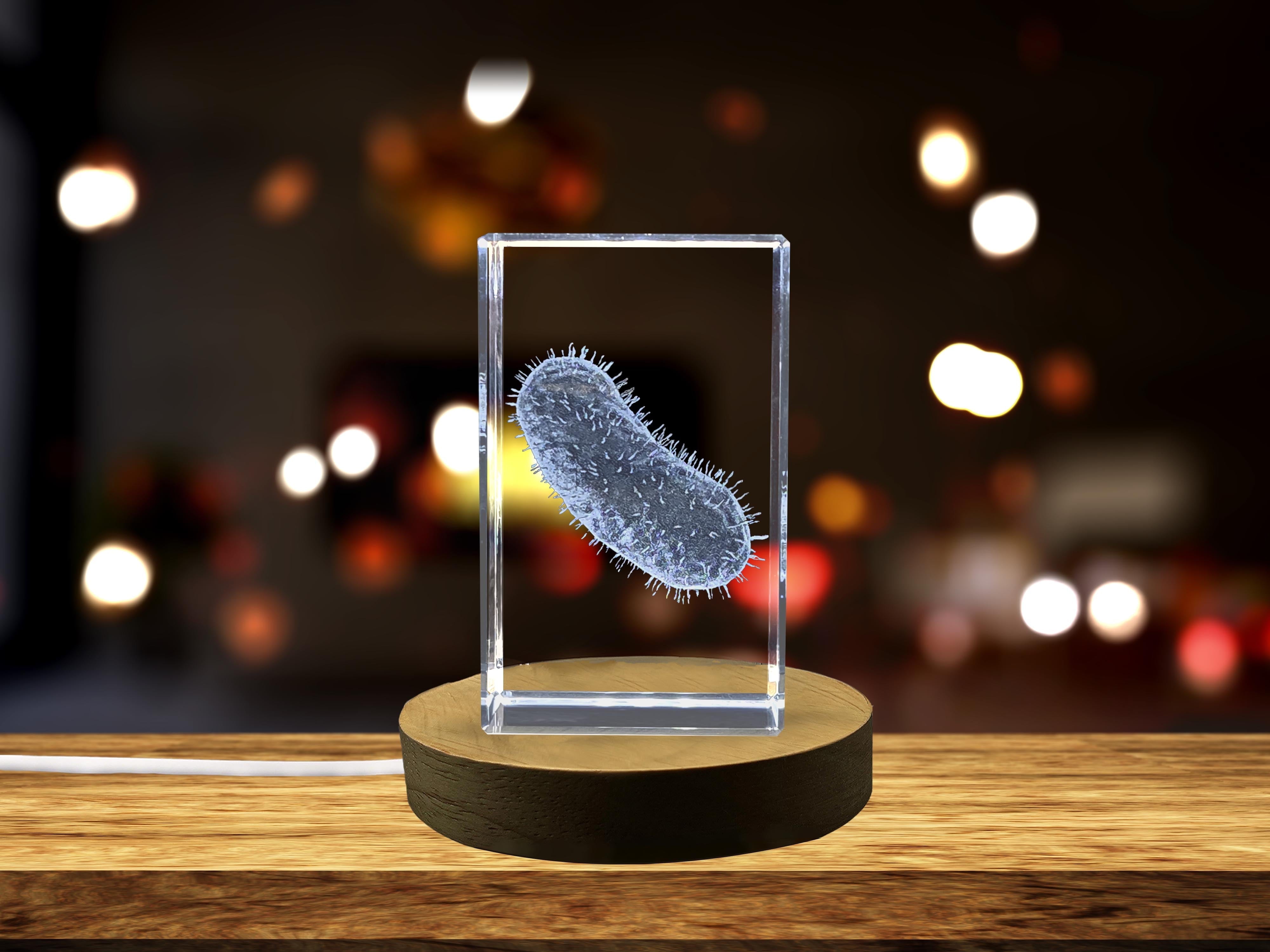 Microscopic Wonder: 3D Engraved Crystal Bacillus Bacteria - Walmart.com