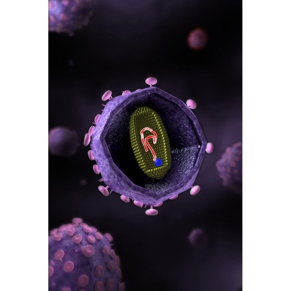 Microscopic view of HIV ***** cross section Poster Print - Walmart.com