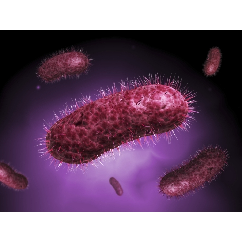 Microscopic view of Poster Print - Walmart.com