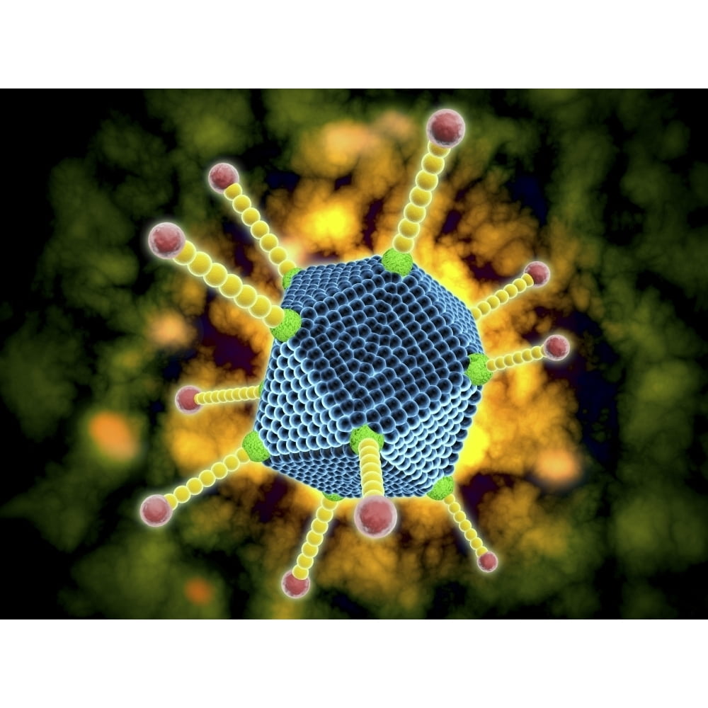 Microscopic view of the common cold ***** Poster Print - Walmart.com