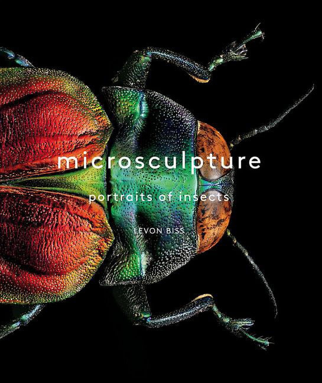 Microsculpture: Portraits of Insects, (Hardcover) - Walmart.com