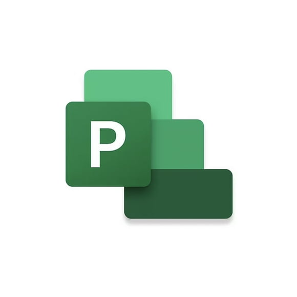 Microsoft Project Software