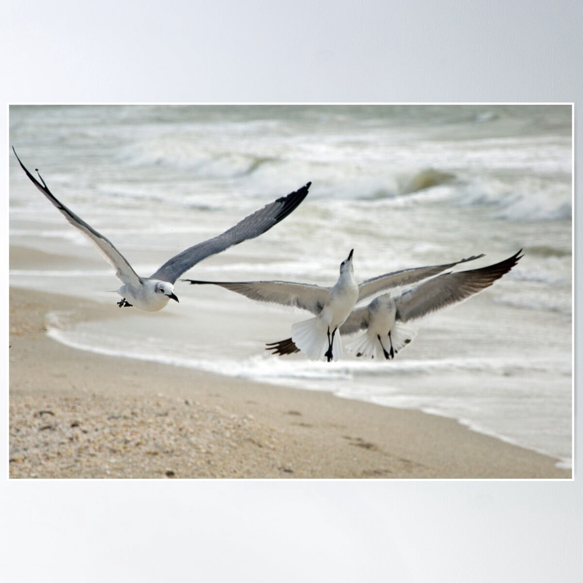 Mid Air Collision Poster Wall Art, Modern Wall Decor For Living Room ...