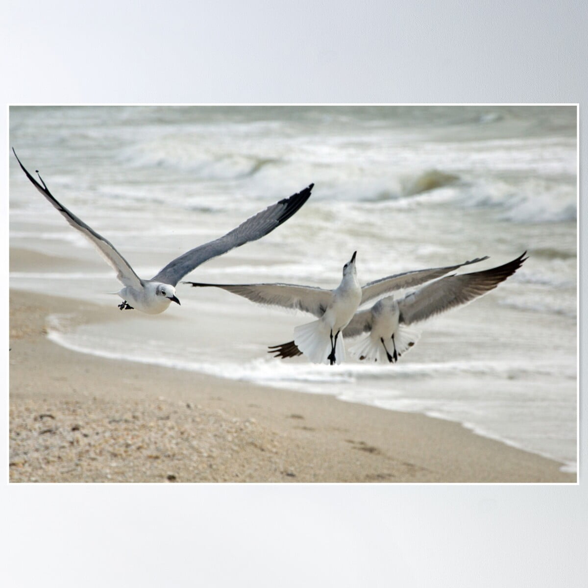 Mid Air Collision Poster Wall Art, Modern Wall Decor For Living Room ...