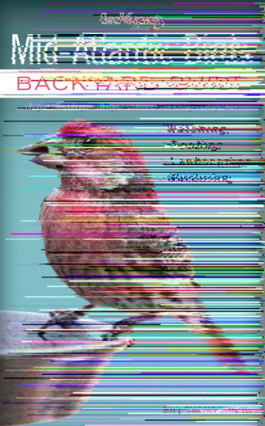 Mid-Atlantic Birds Backyard Guide - Walmart.com