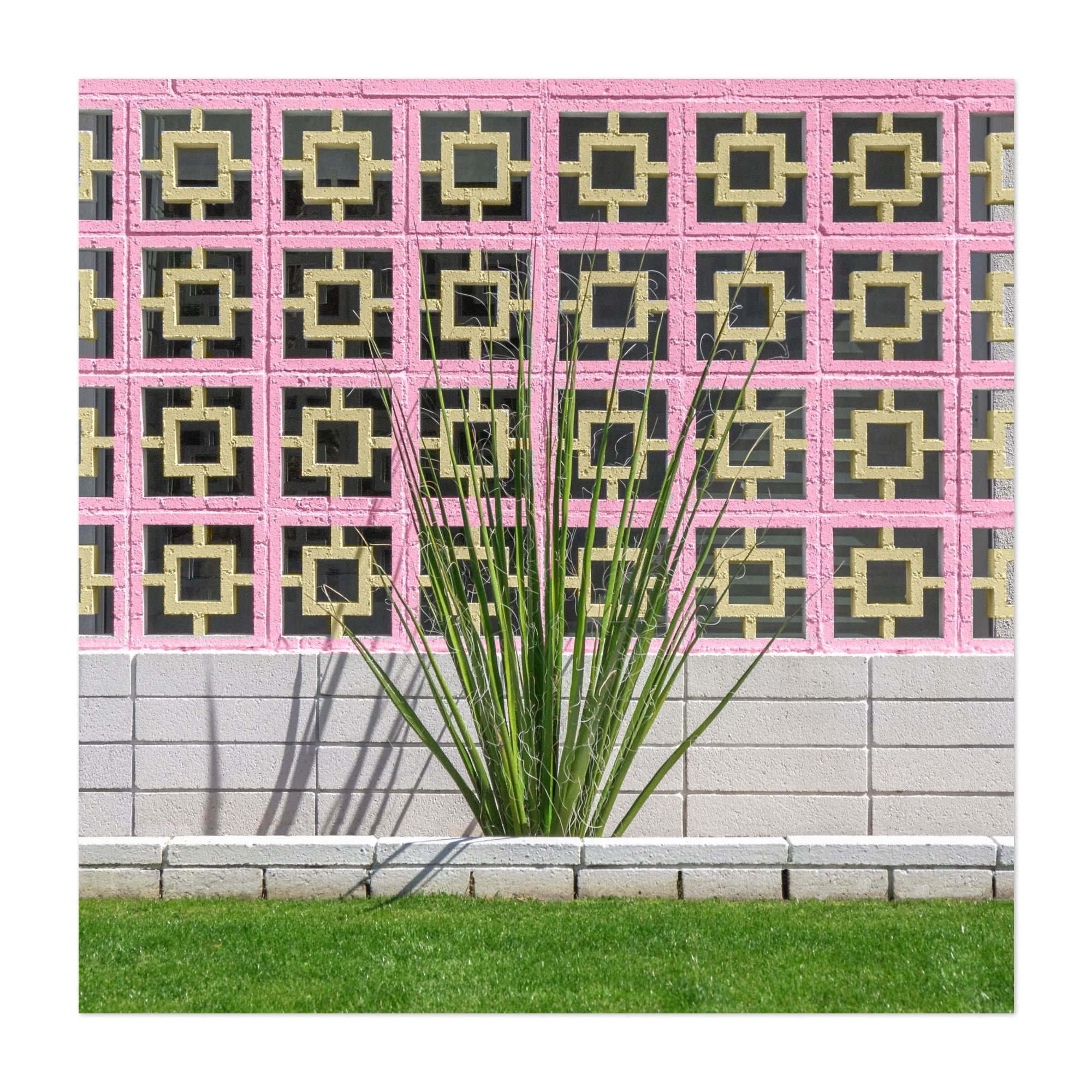 Mid-Century Breeze Block Wall with Cactus in Palm Springs - Palm ...