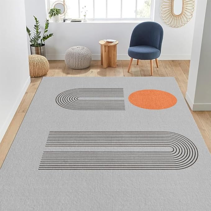 Mid Century Minimalist Area Rug For Living Room, Bohemian Line Art Non ...