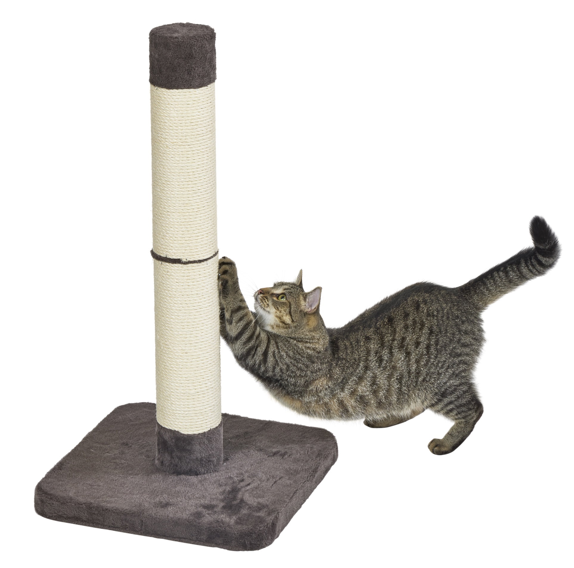 MidWest Homes for Pets, Feline Nuvo, Medium, Forte Cat Scratching Post ...