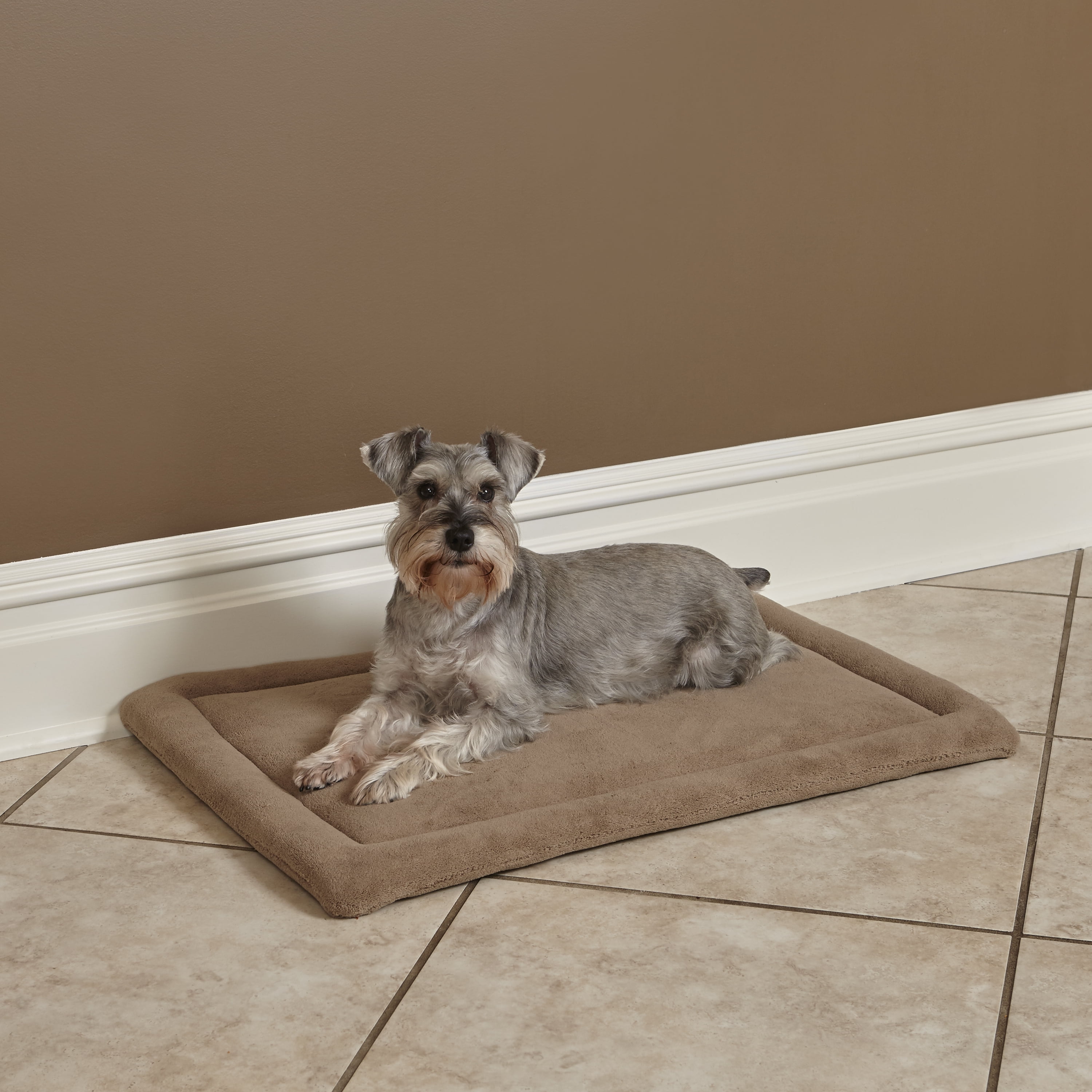 MidWest Homes for Pets, Quiet Time Taupe Micro Terry Dog/Cat Bed, Fits ...