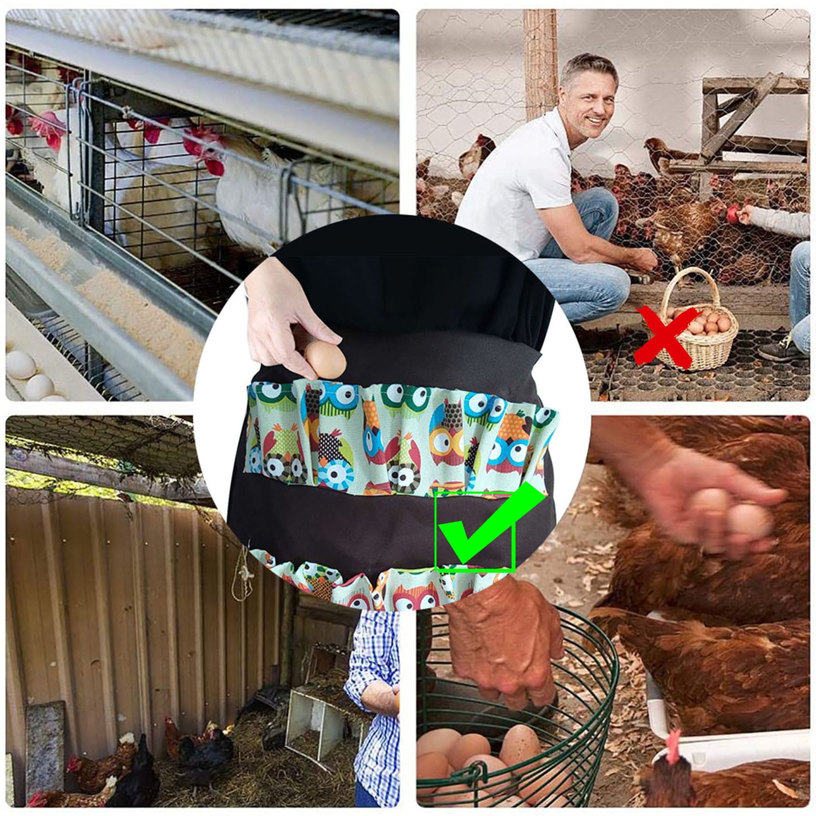 Middle-Aged Children's Version - Chicken, Duck and Goose Egg Collecting ...