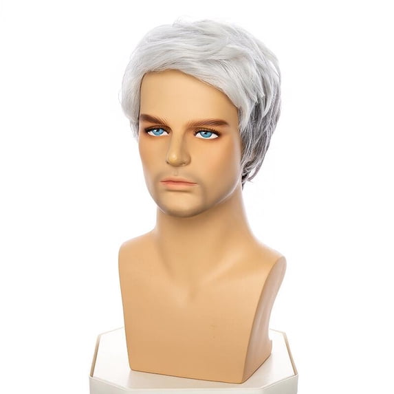 Middle-aged and elderly men's gray side-parted short hair wig | Wig ...