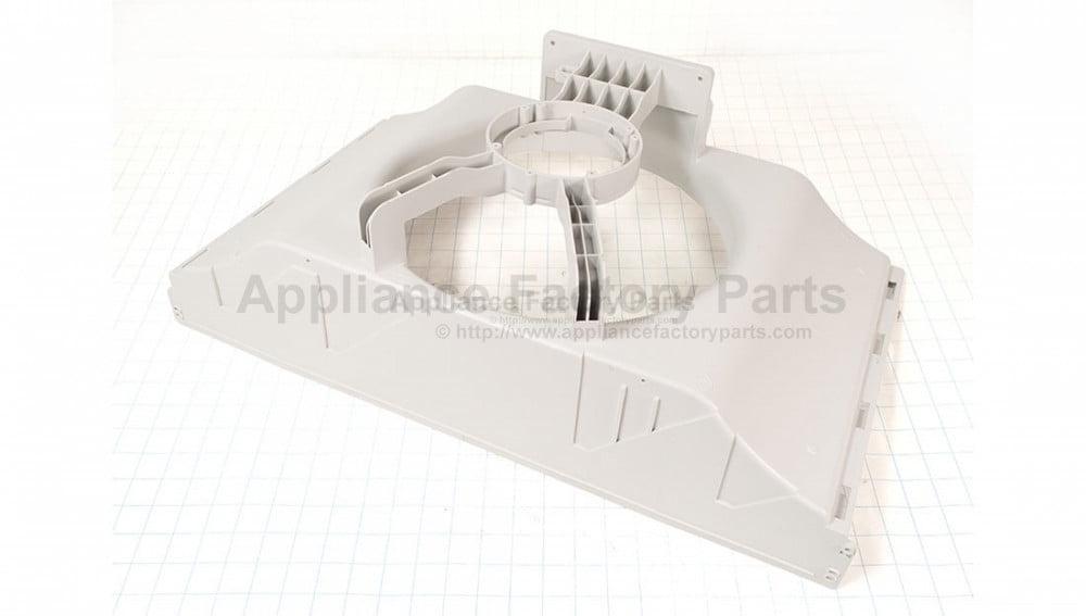 Volute Shell