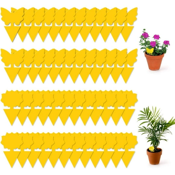 Sticky Stick Flying Insect Traps