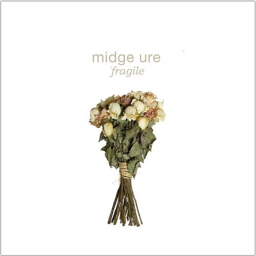 Midge Ure - Fragile - Music & Performance - CD - Walmart.com