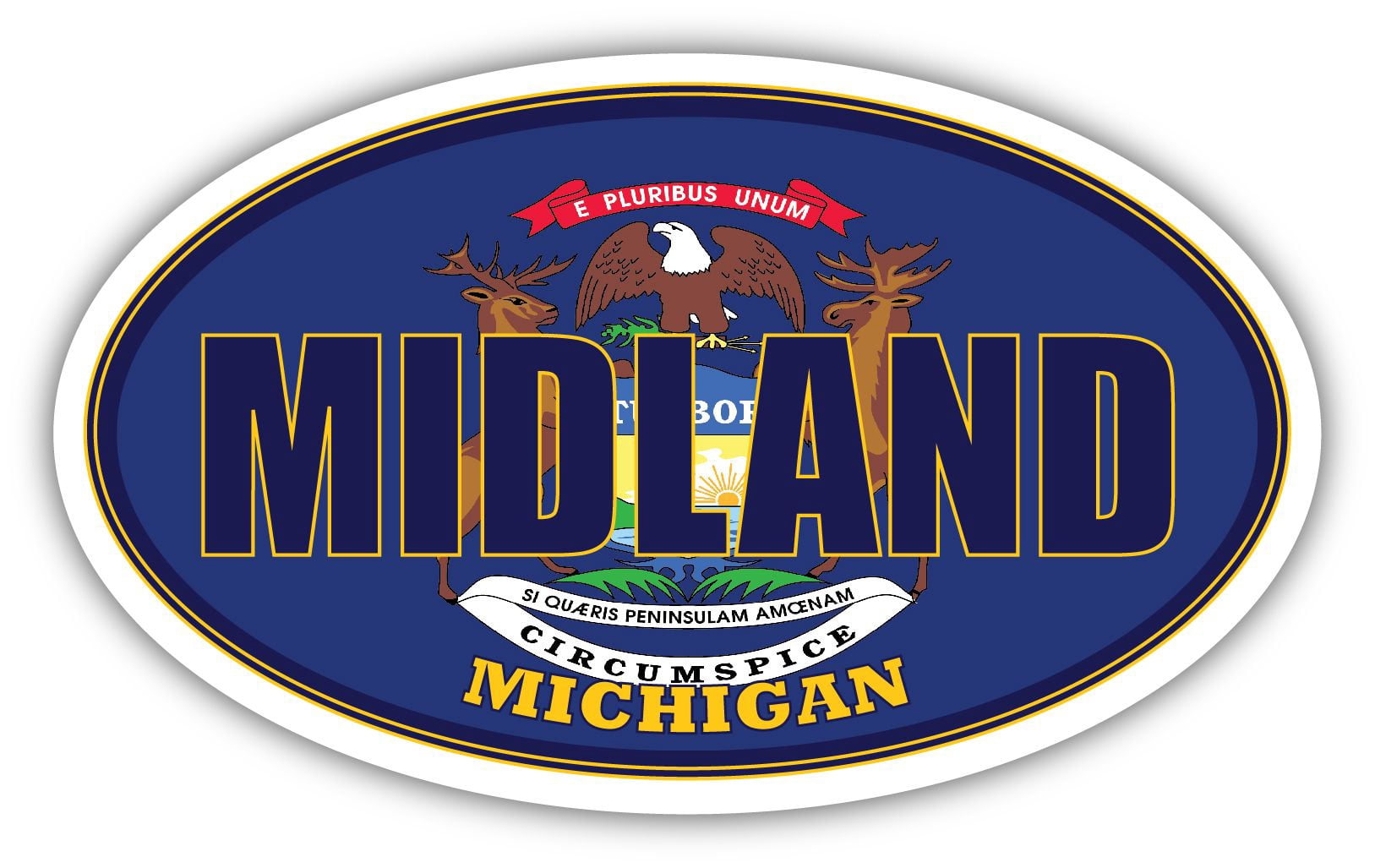 Midland City Michigan State Flag | MI Flag Midland County Oval State ...