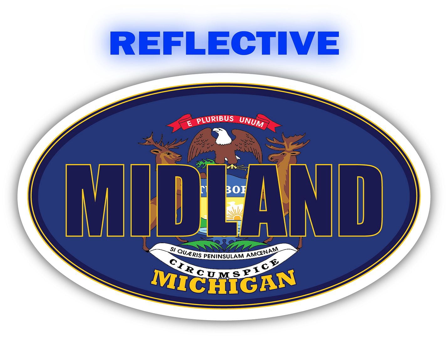 Midland City Michigan State Flag | MI Flag Midland County Oval State ...