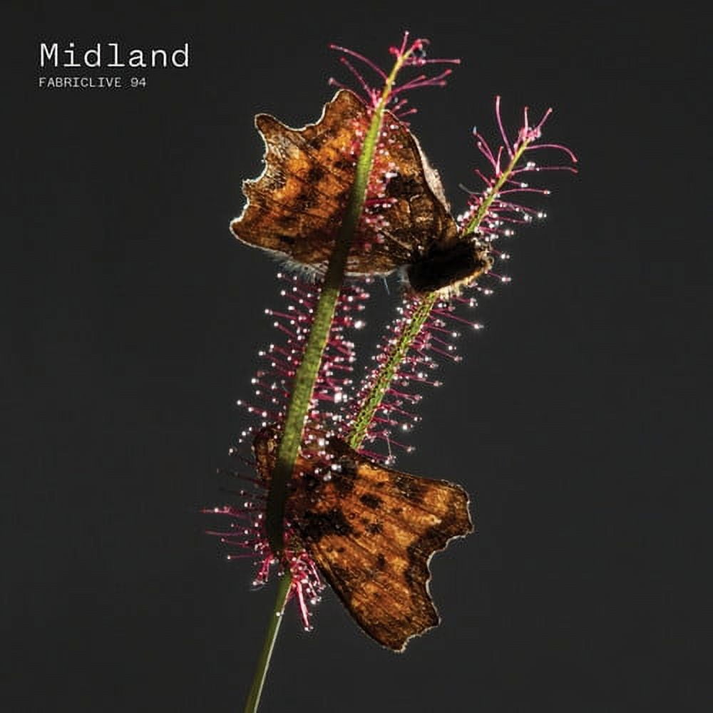 Midland - Fabriclive 94 - Music & Performance - CD - Walmart.com