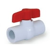 Midline Valve PVC Inline Check Valve for Backflow Prevention; 1'' FIP ...